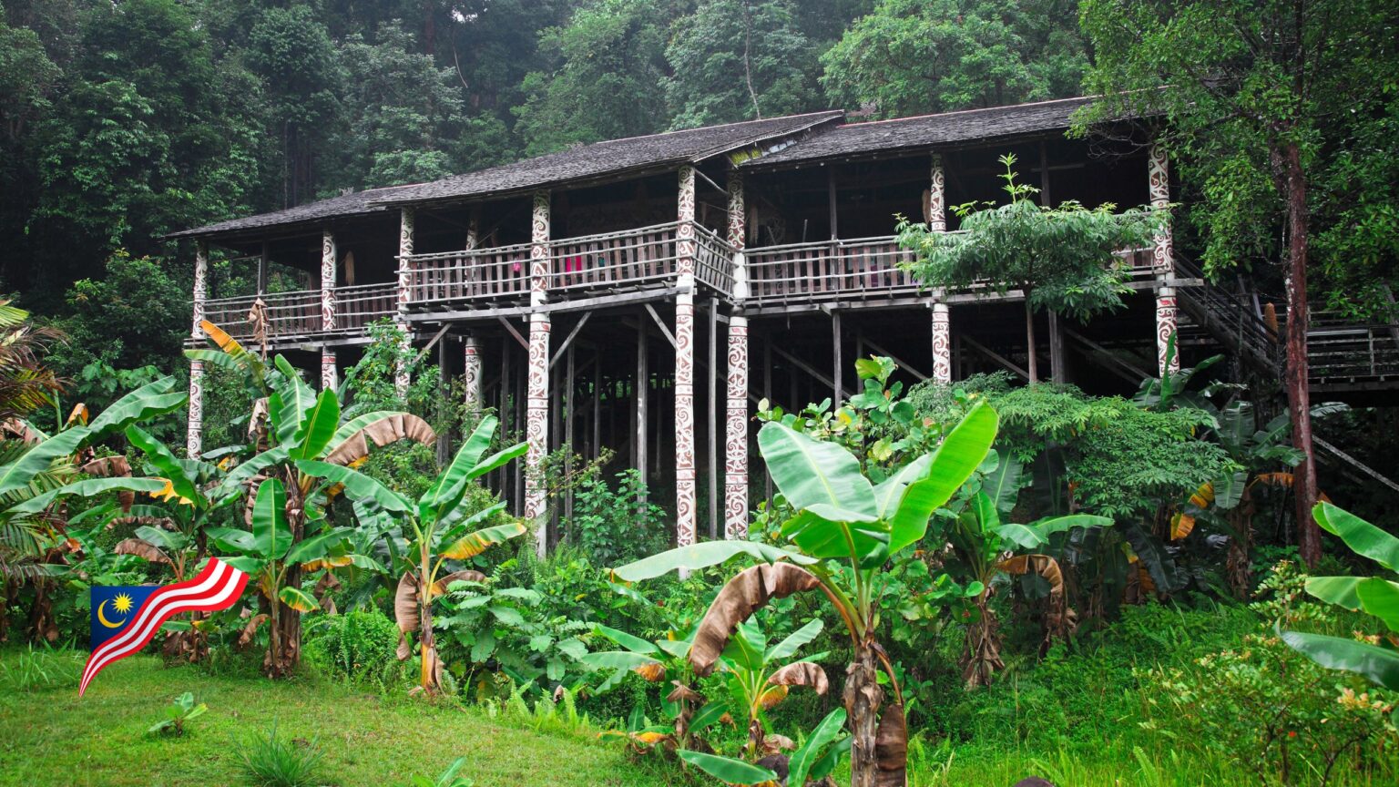 Sepilok Tours in Malaysia: A Comprehensive Guide - Stepwise Wonders ...