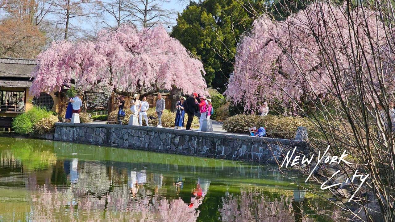 Spring in New York – Ultimate Guide (March, April, May 2026) - Stepwise ...